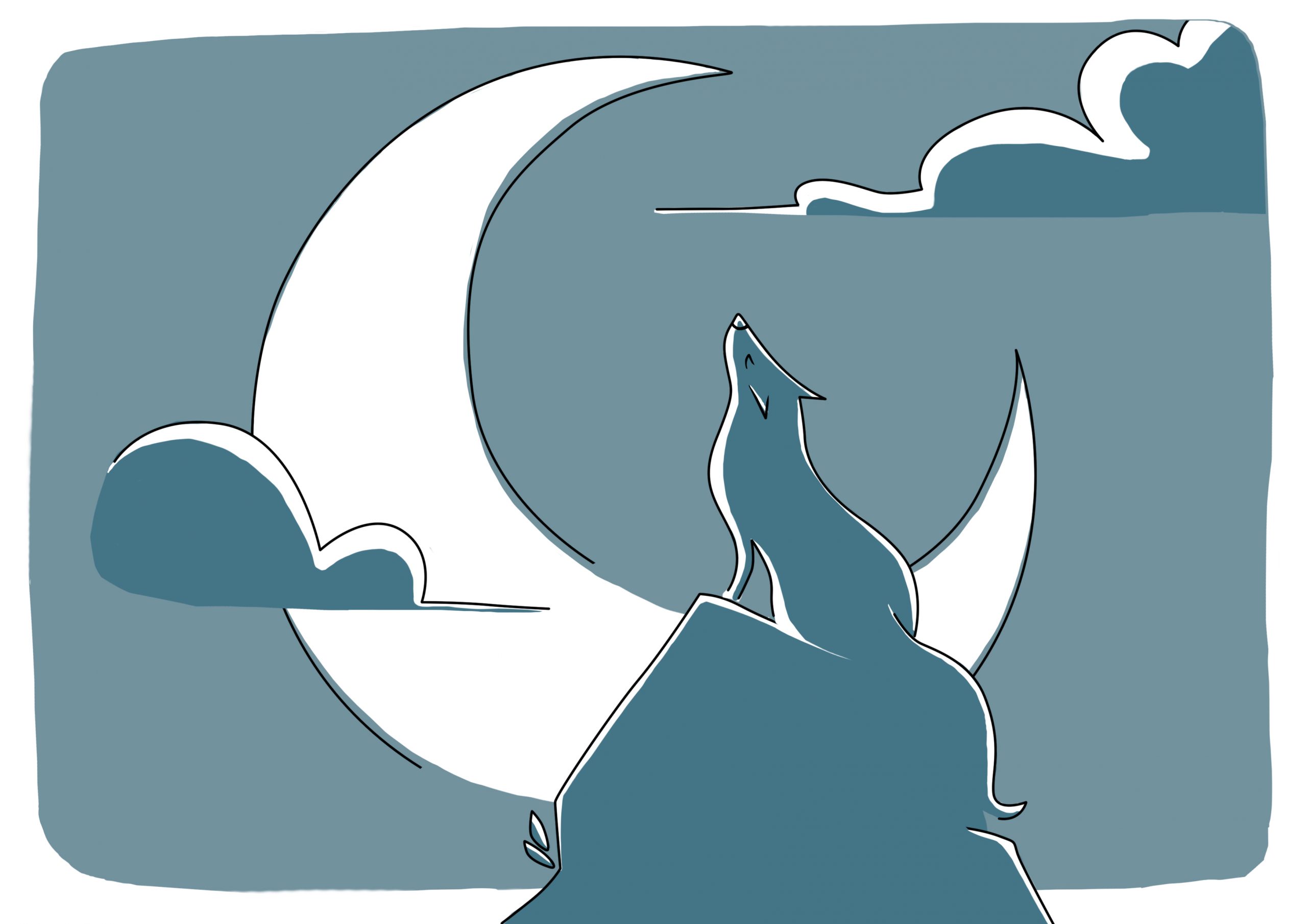 Atelier pratique en soirée: Revue de la médication - on analyse vos schémas ! - SSPF