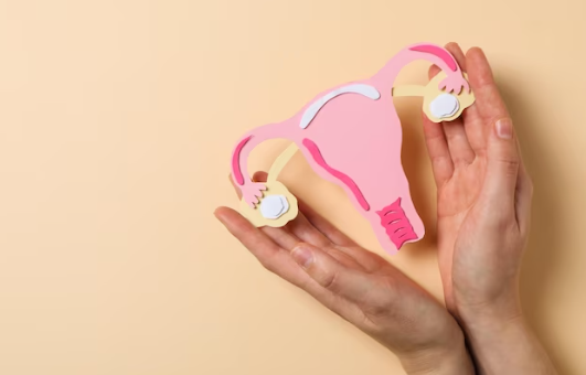 Formations Archive - SSPF